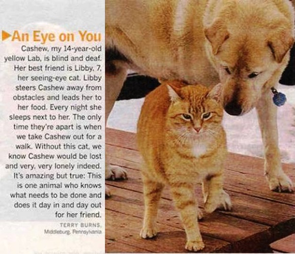 43 Cutest Pictures Ever Seen On The Internet