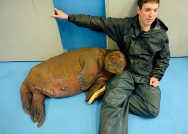 43 Cutest Pictures Ever Seen On The Internet